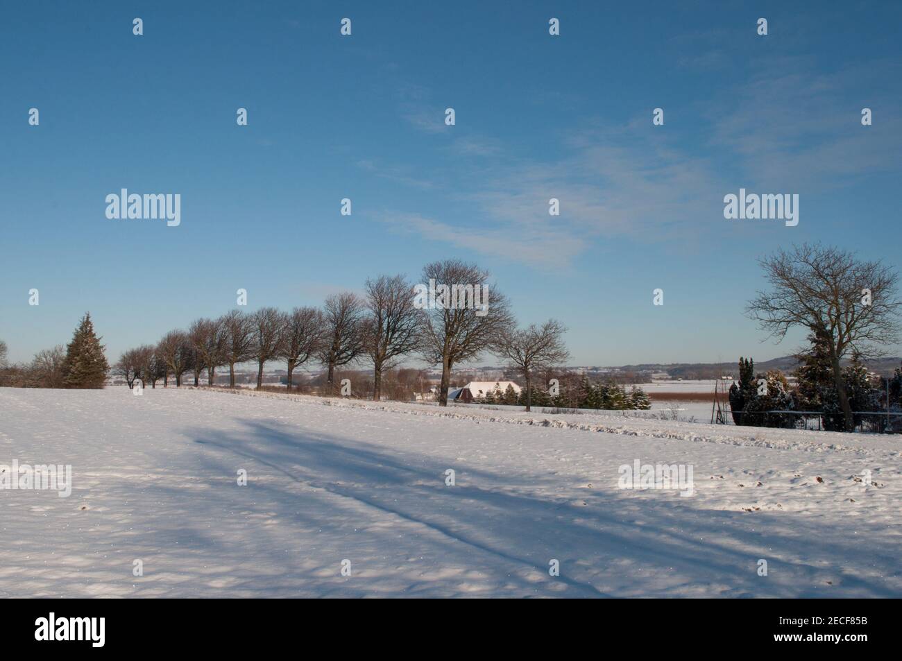 Winter wonderland in Denmark Stock Photo - Alamy