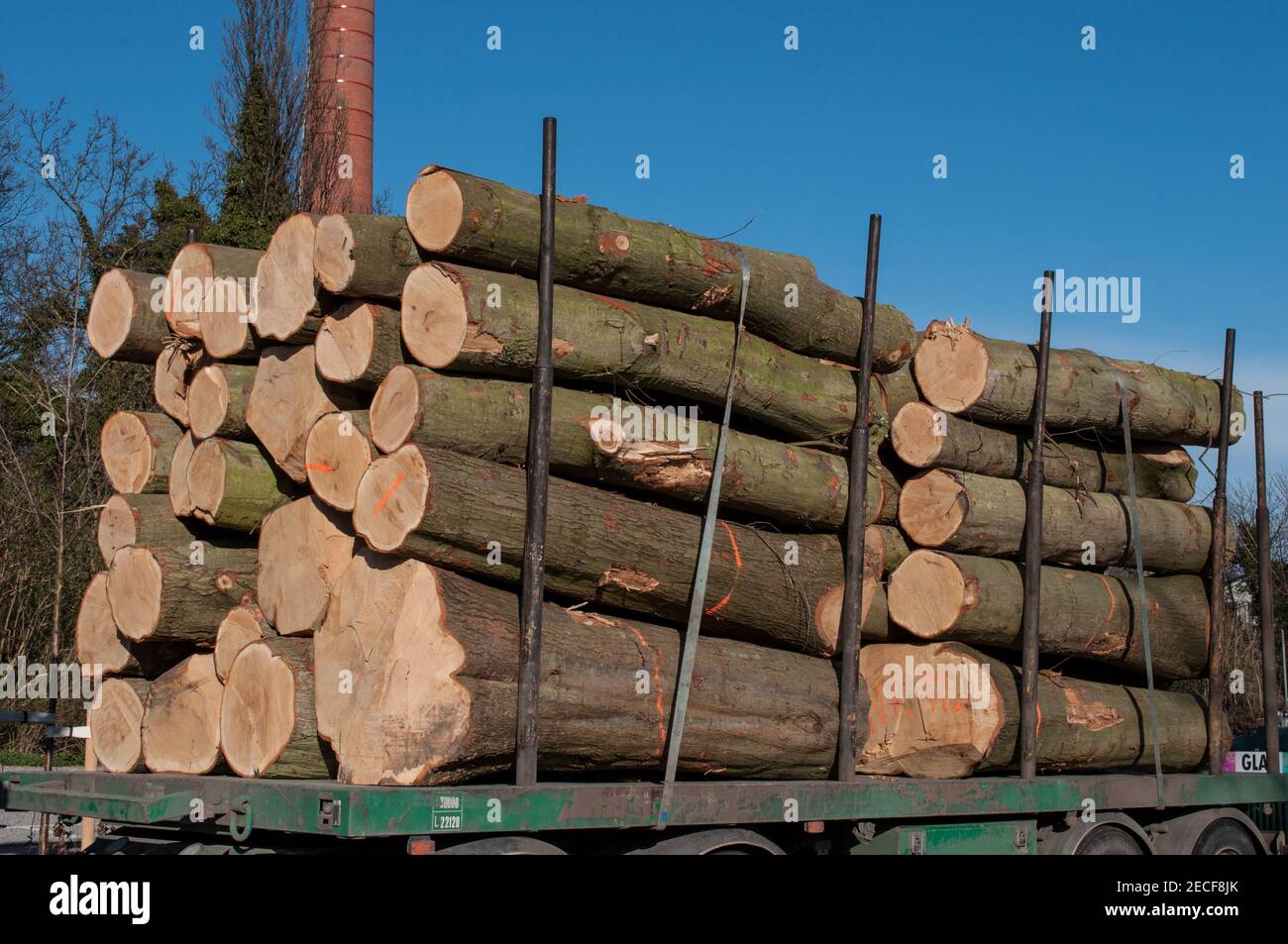 Tree logs on a trailer Stock Photo - Alamy