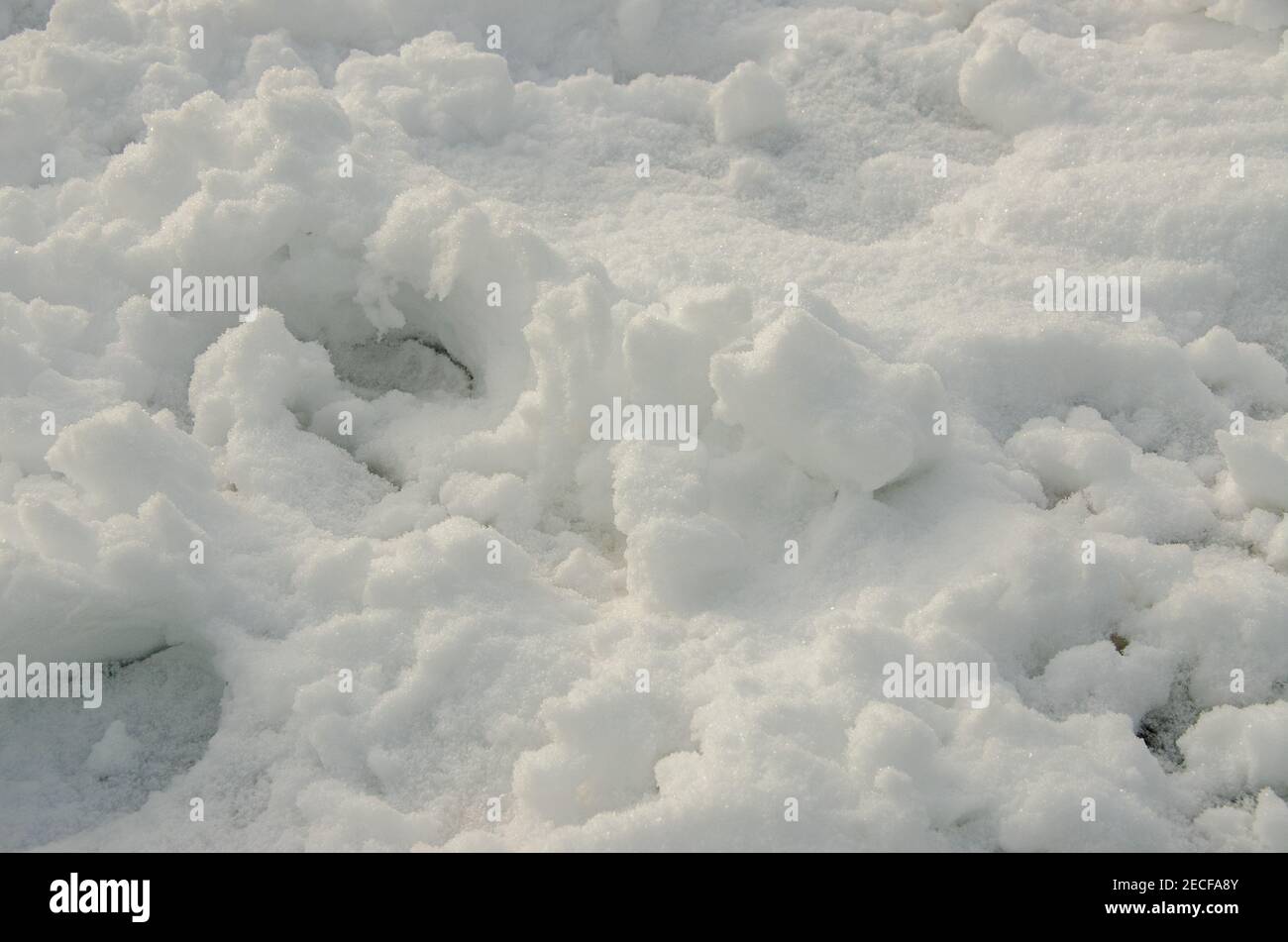 Detailed view snow surface as texture or background Stock Photo - Alamy