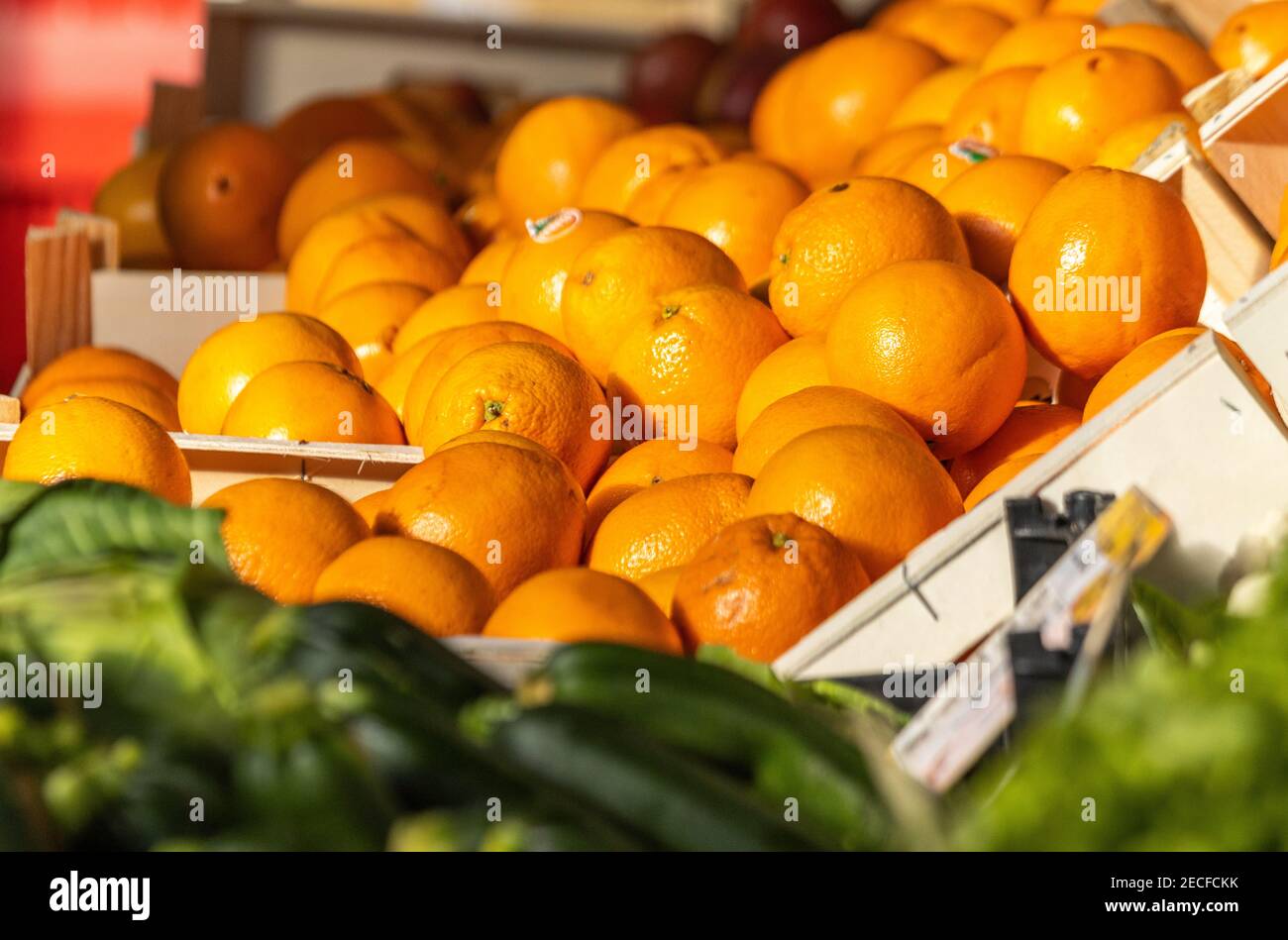 Oranges on display at farmers market, for sale, fresh and healthy food ...