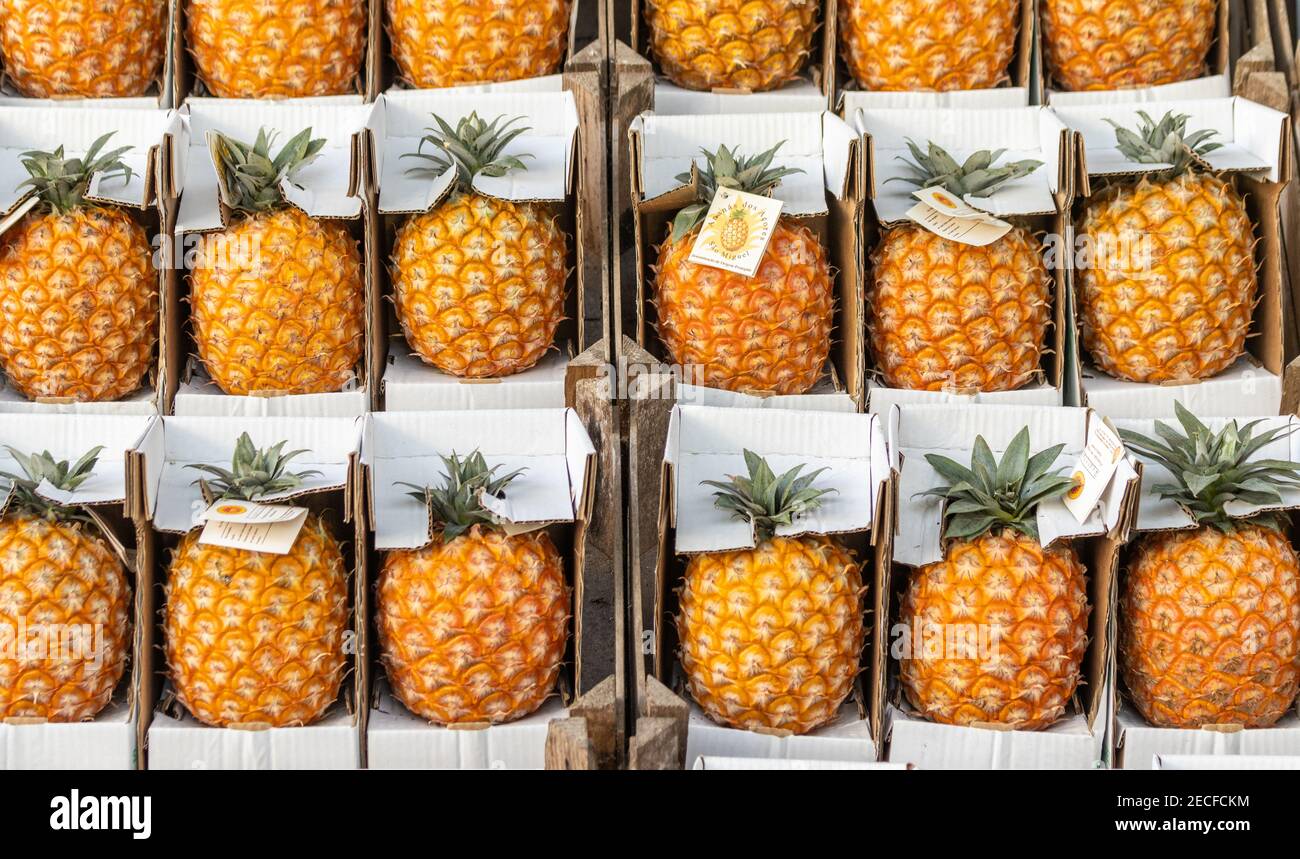 Pineapples on display at farmers market, fresh and healthy fruits ...