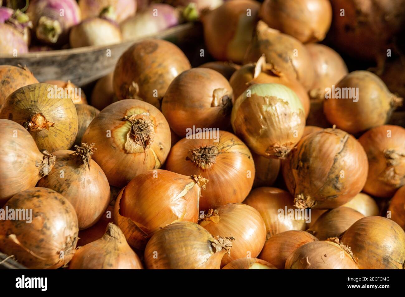 Onions on sale at farmers market, stacked in box, vegetables Stock ...