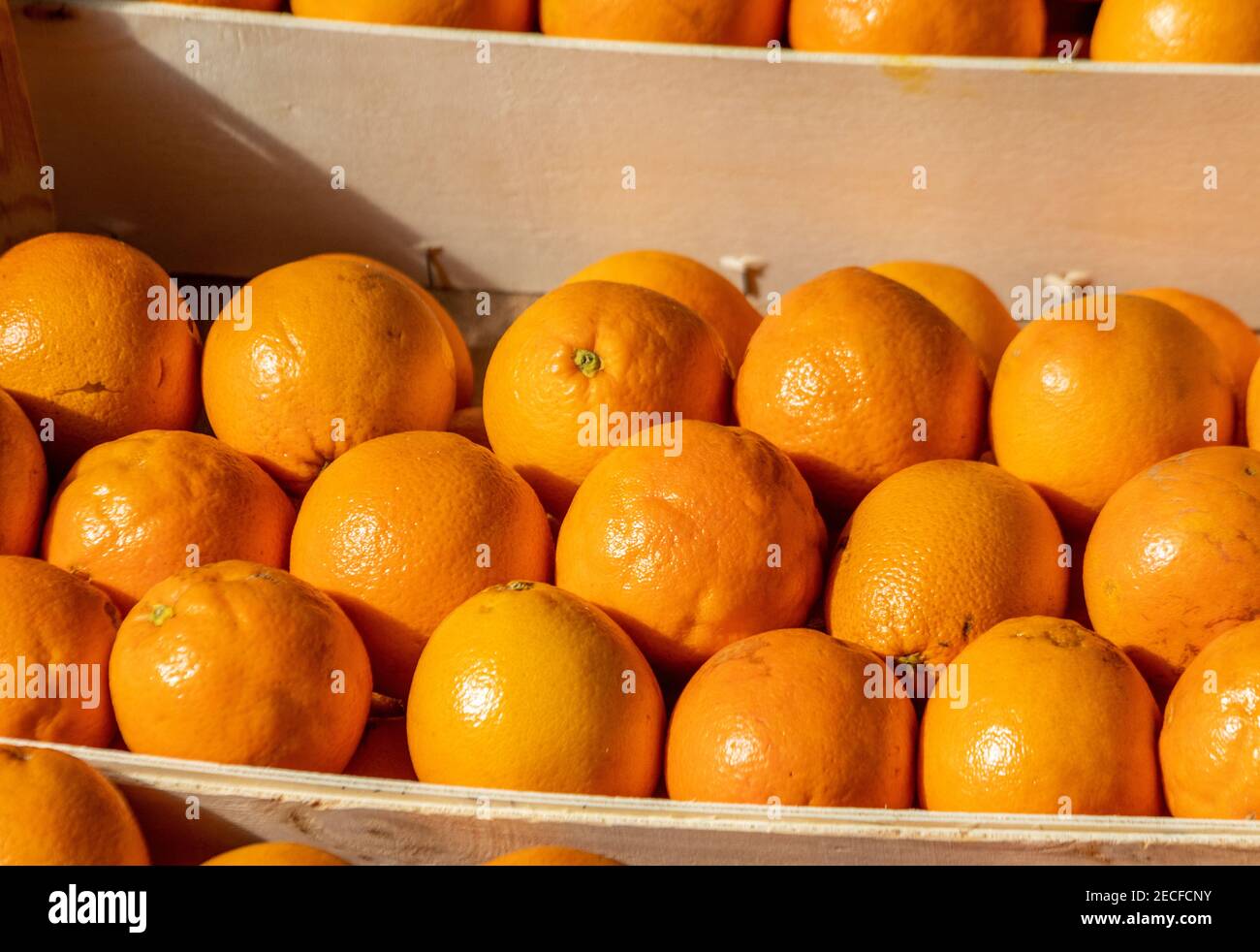Oranges on display at farmers market, for sale, fresh and healthy food ...