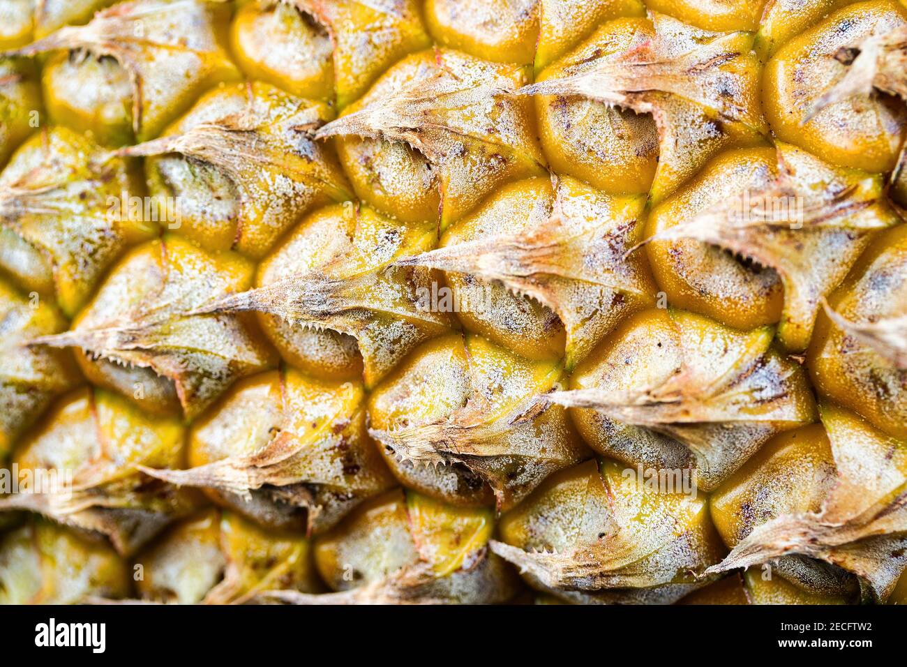 Close up pineapple skin hi-res stock photography and images - Alamy