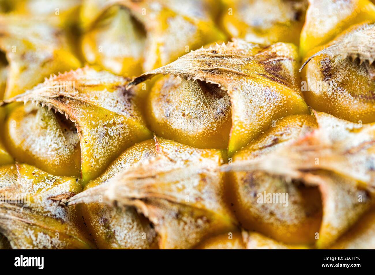 Close up pineapple skin hi-res stock photography and images - Alamy
