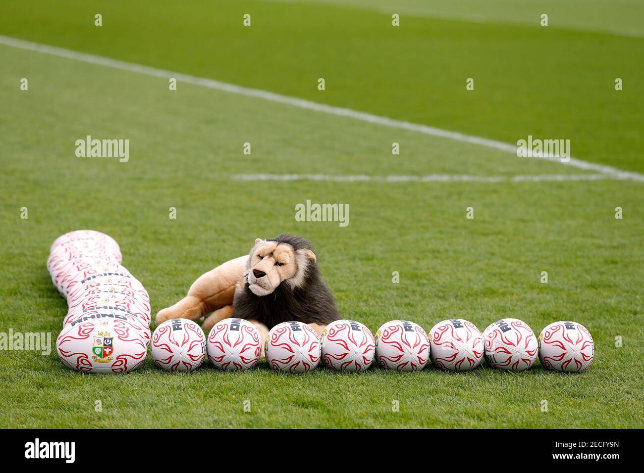 Wru centre excellence hi-res stock photography and images - Alamy