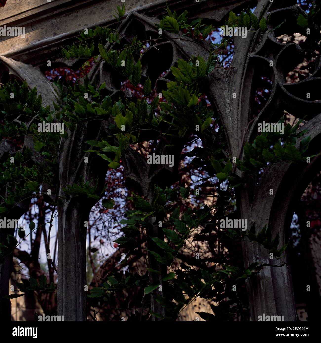 Ruined gothic arch hi-res stock photography and images - Alamy