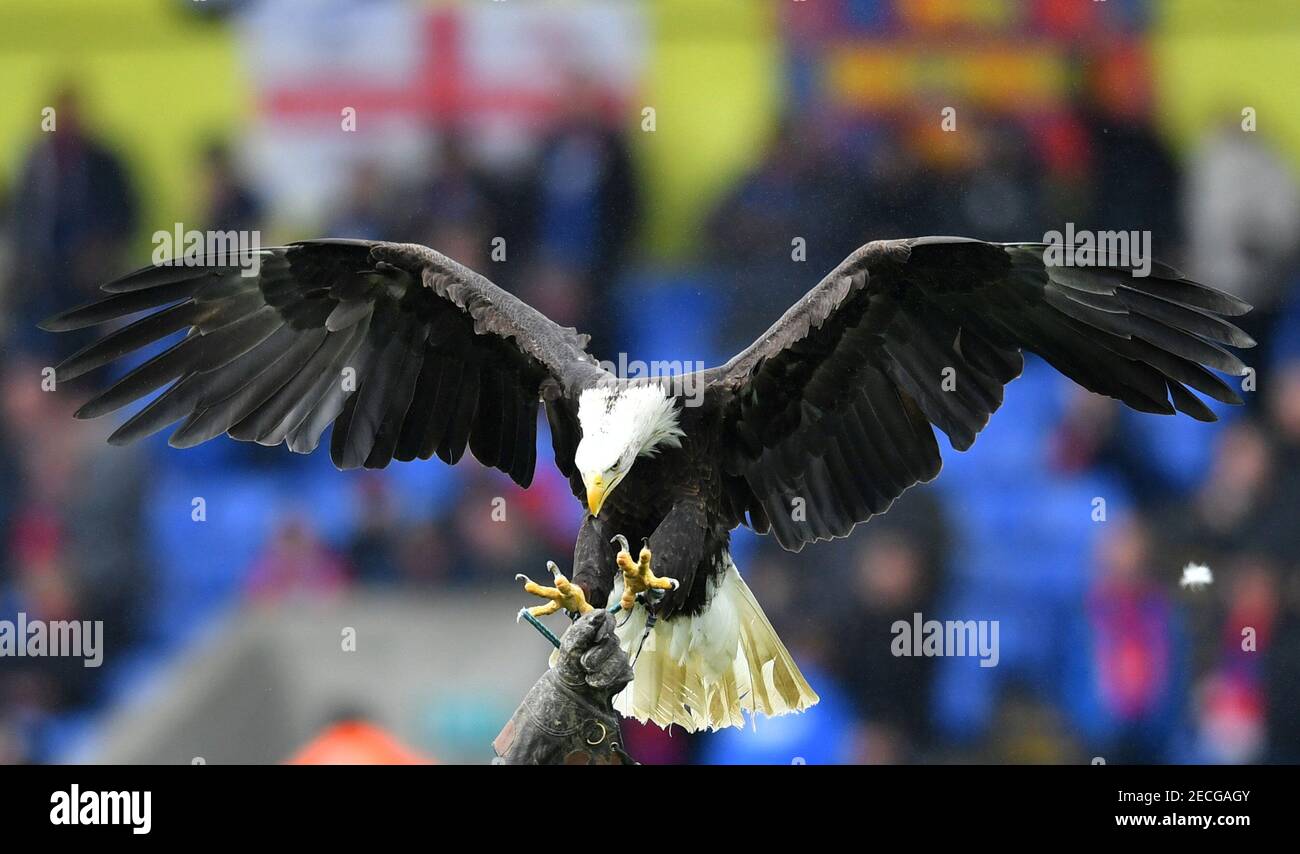 The crystal palace mascot hi-res stock photography and images - Alamy