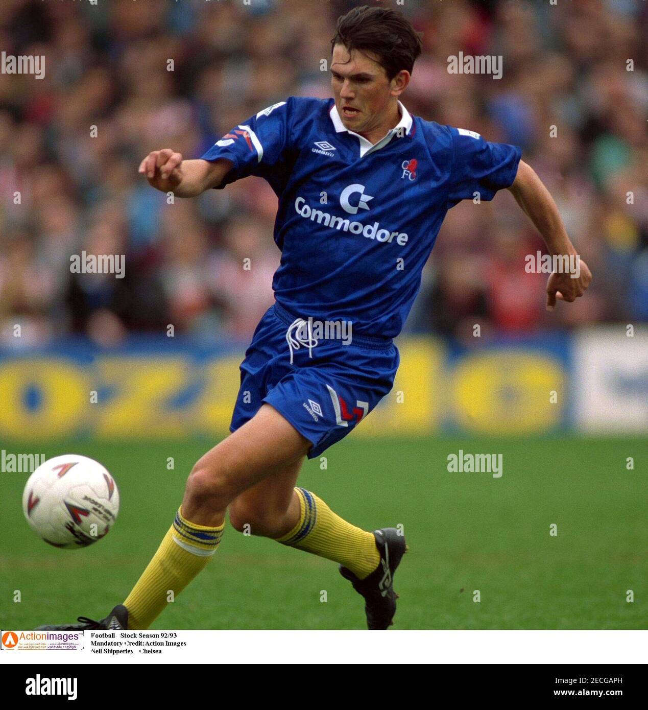 Neil shipperley hi-res stock photography and images - Alamy