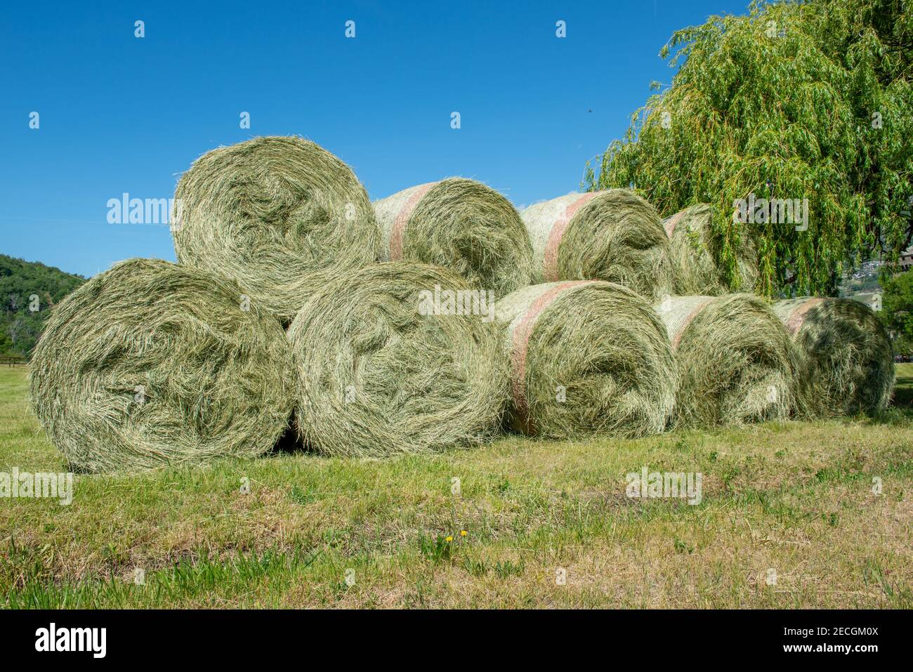 Big circular bales hi-res stock photography and images - Alamy