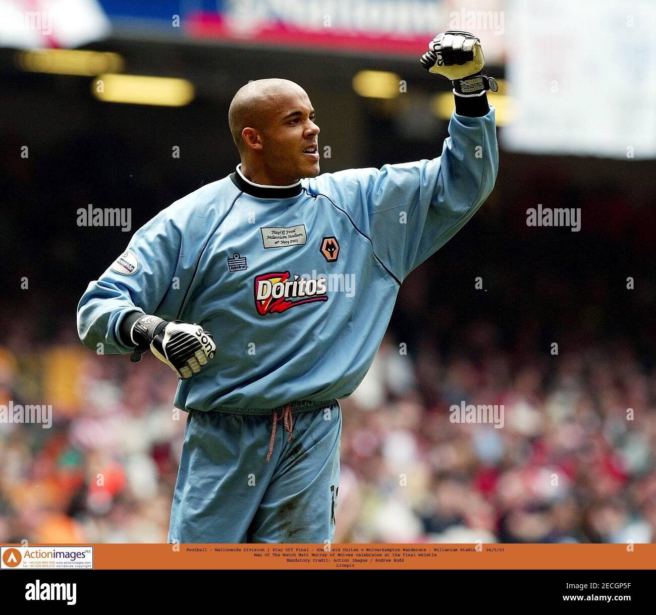Matt murray wolves hi-res stock photography and images - Alamy