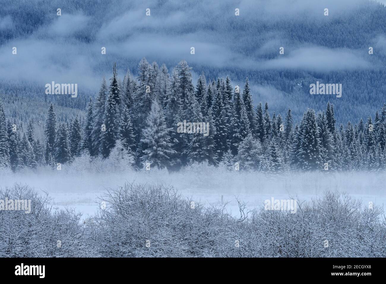 Yaak Valley at sunrise in winter. Lincoln County, northwest Montana ...