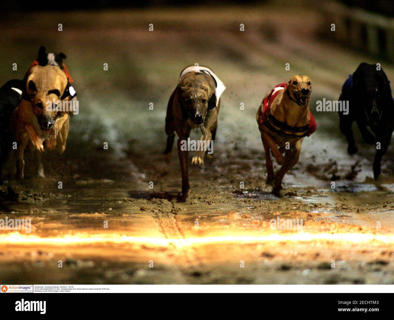 Romford greyhound racing hi-res stock photography and images - Alamy
