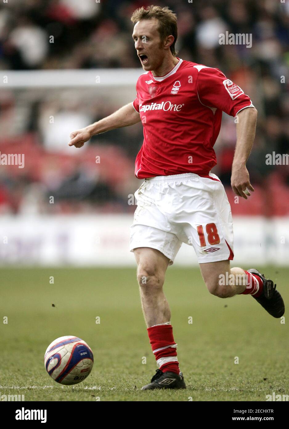 Brett ormerod forest hi-res stock photography and images - Alamy