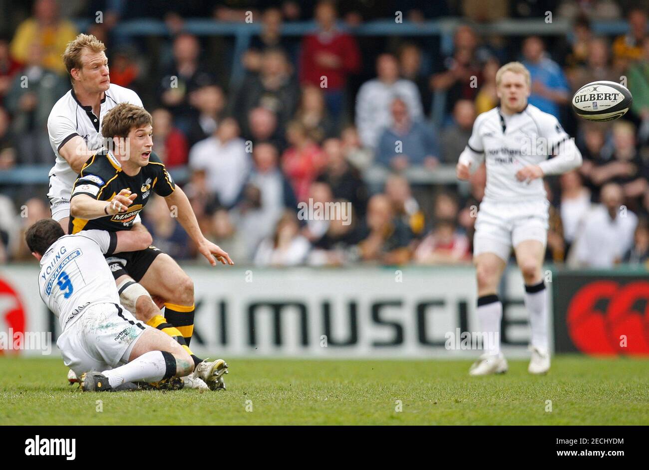 Dominic young rugby hi-res stock photography and images - Alamy