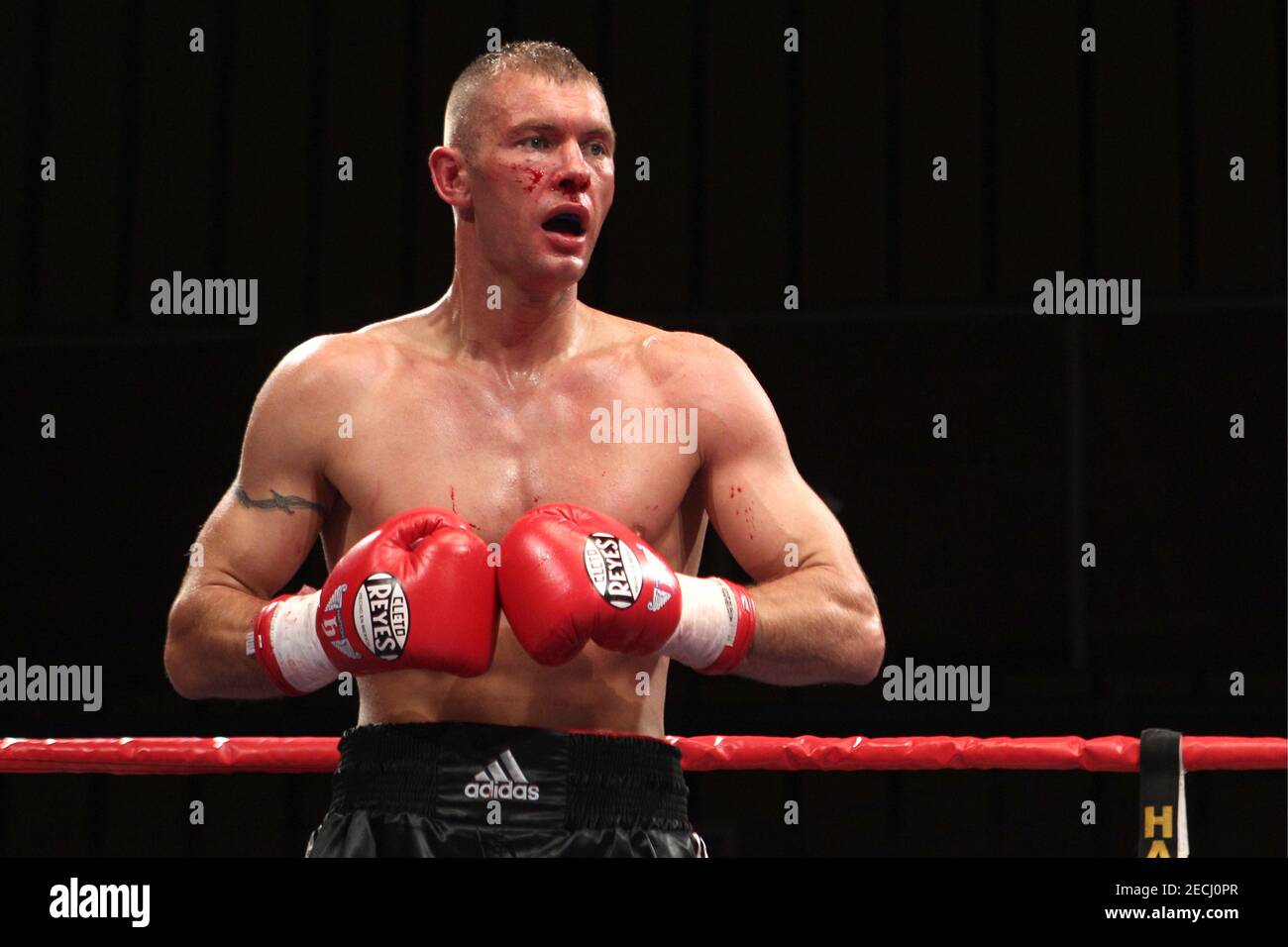 Blackledge High Resolution Stock Photography and Images - Alamy