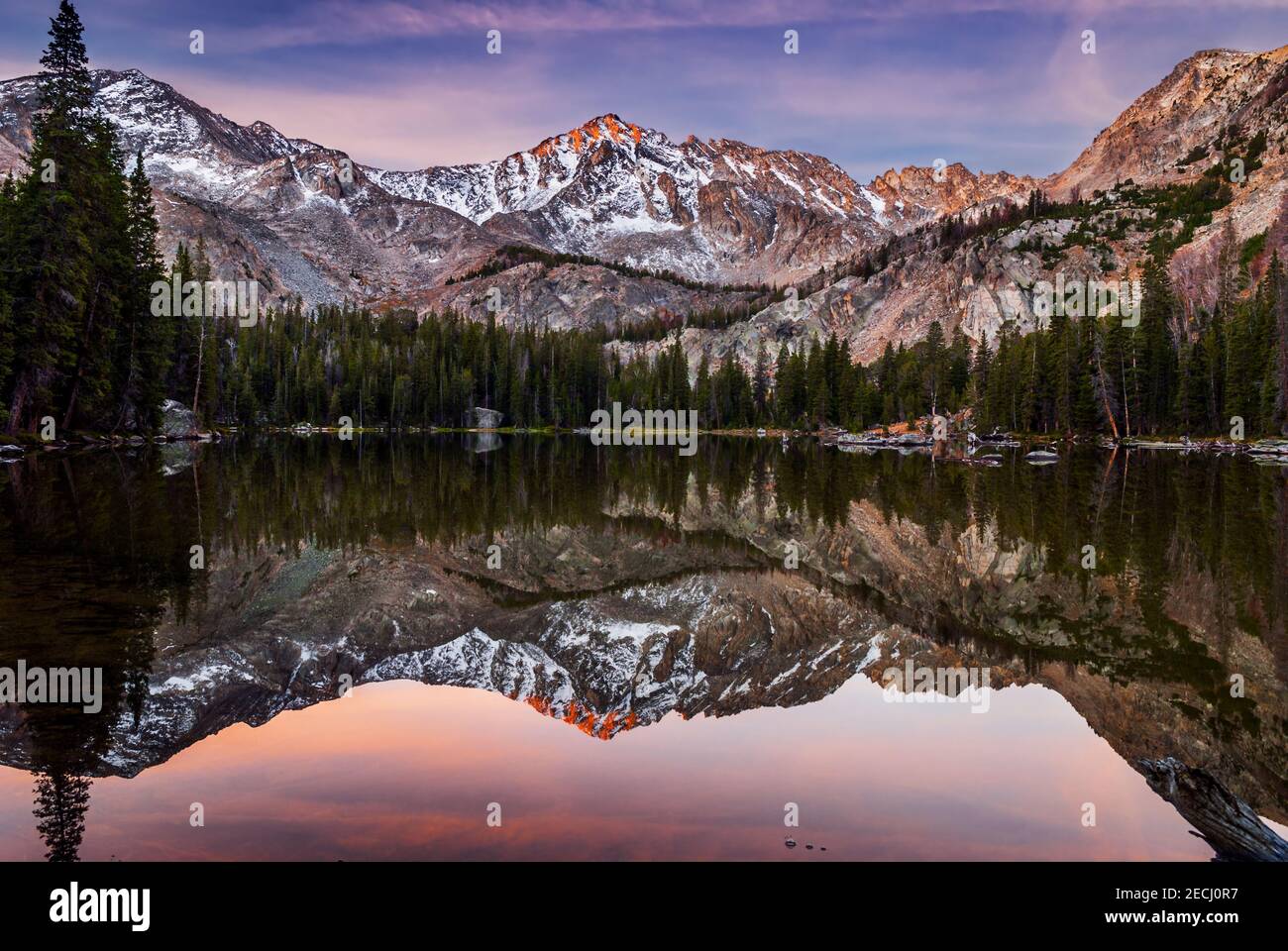 Sun perch hi-res stock photography and images - Alamy