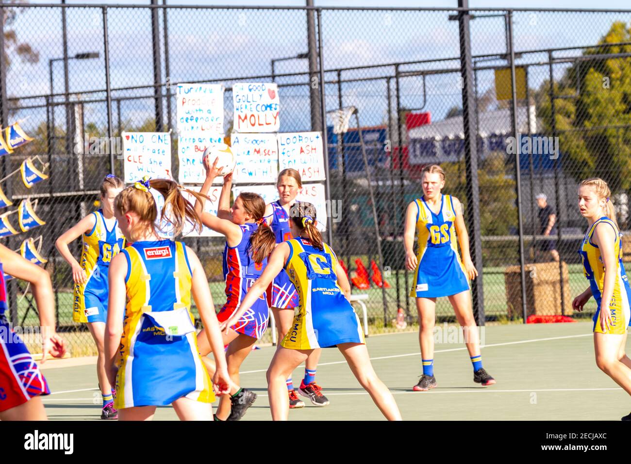 Teenage girls playing netball Stock Photo - Alamy