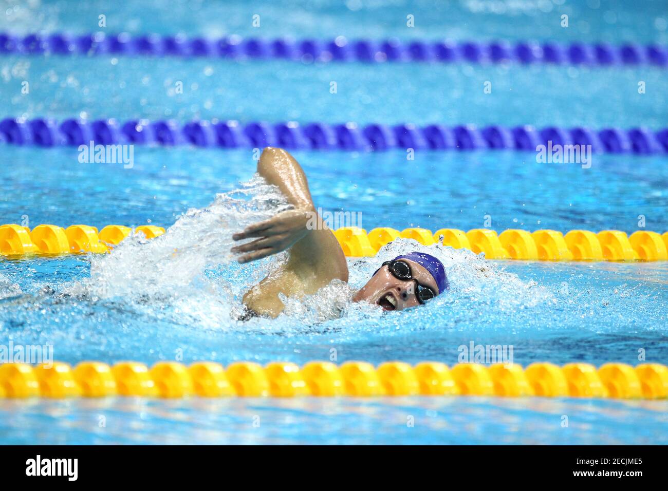 Stephanie millward hi-res stock photography and images - Alamy