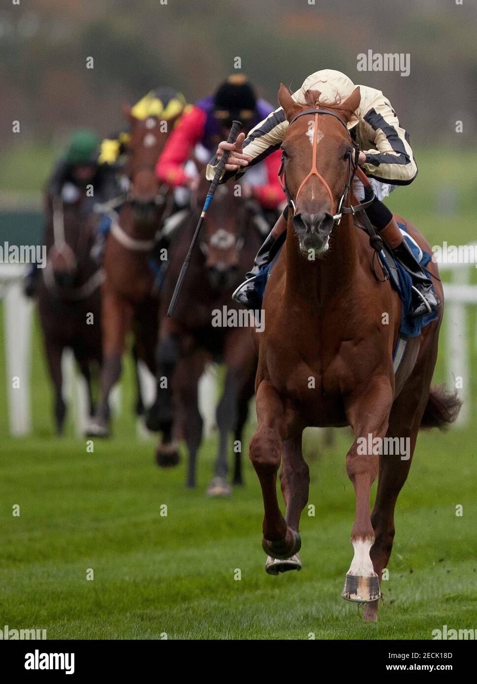 Hot to trot race hi-res stock photography and images - Alamy