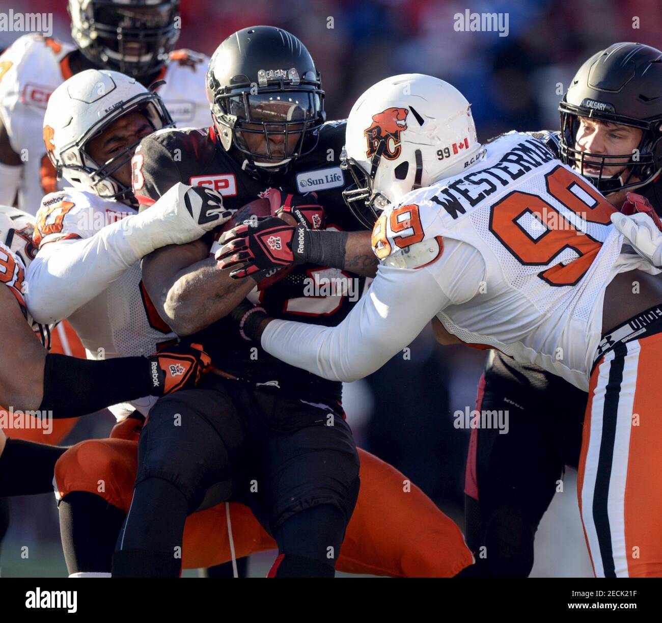 Jerome brooks hi-res stock photography and images - Alamy