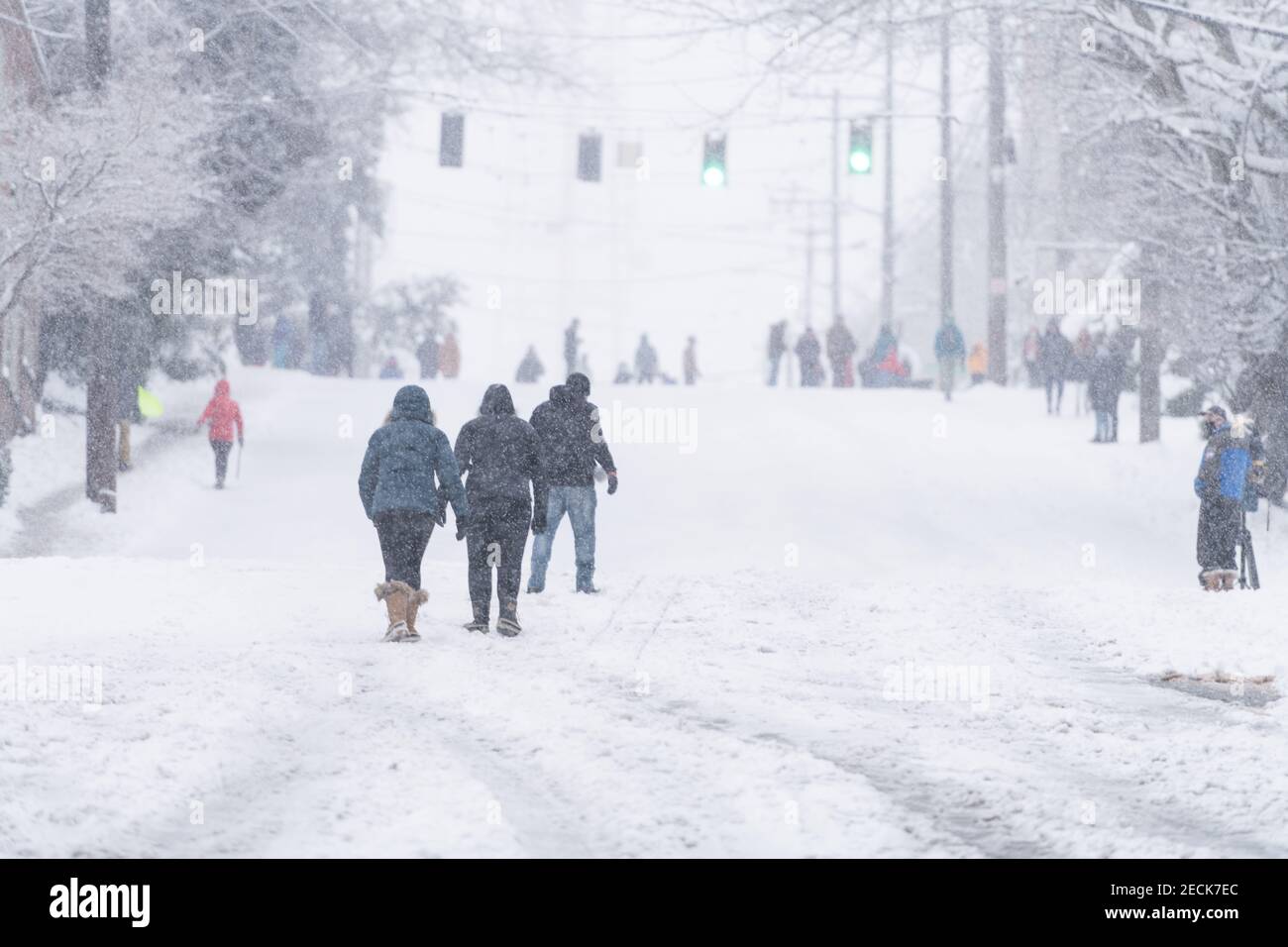 Seattle, USA. 13th Feb, 2021. Mid-day people sledding on Queen Anne Ave ...