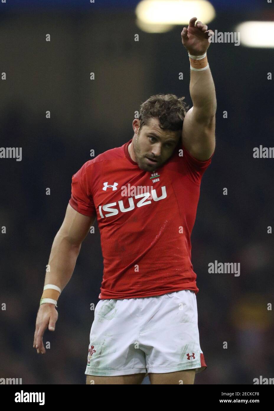 Doddie weir cup hi-res stock photography and images - Alamy