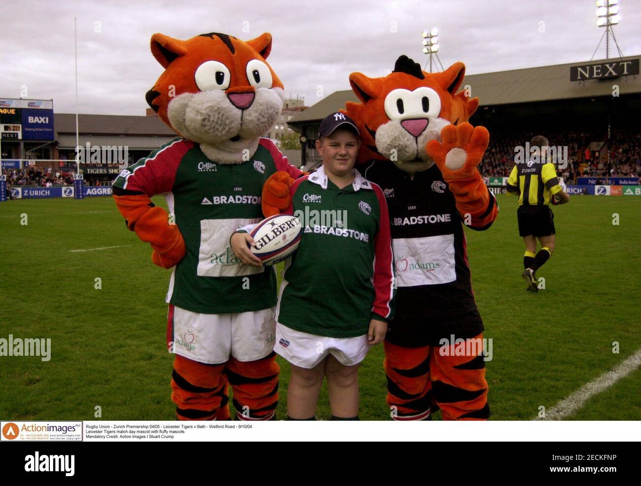 Leicester tigers mascot welford hi-res stock photography and images - Alamy