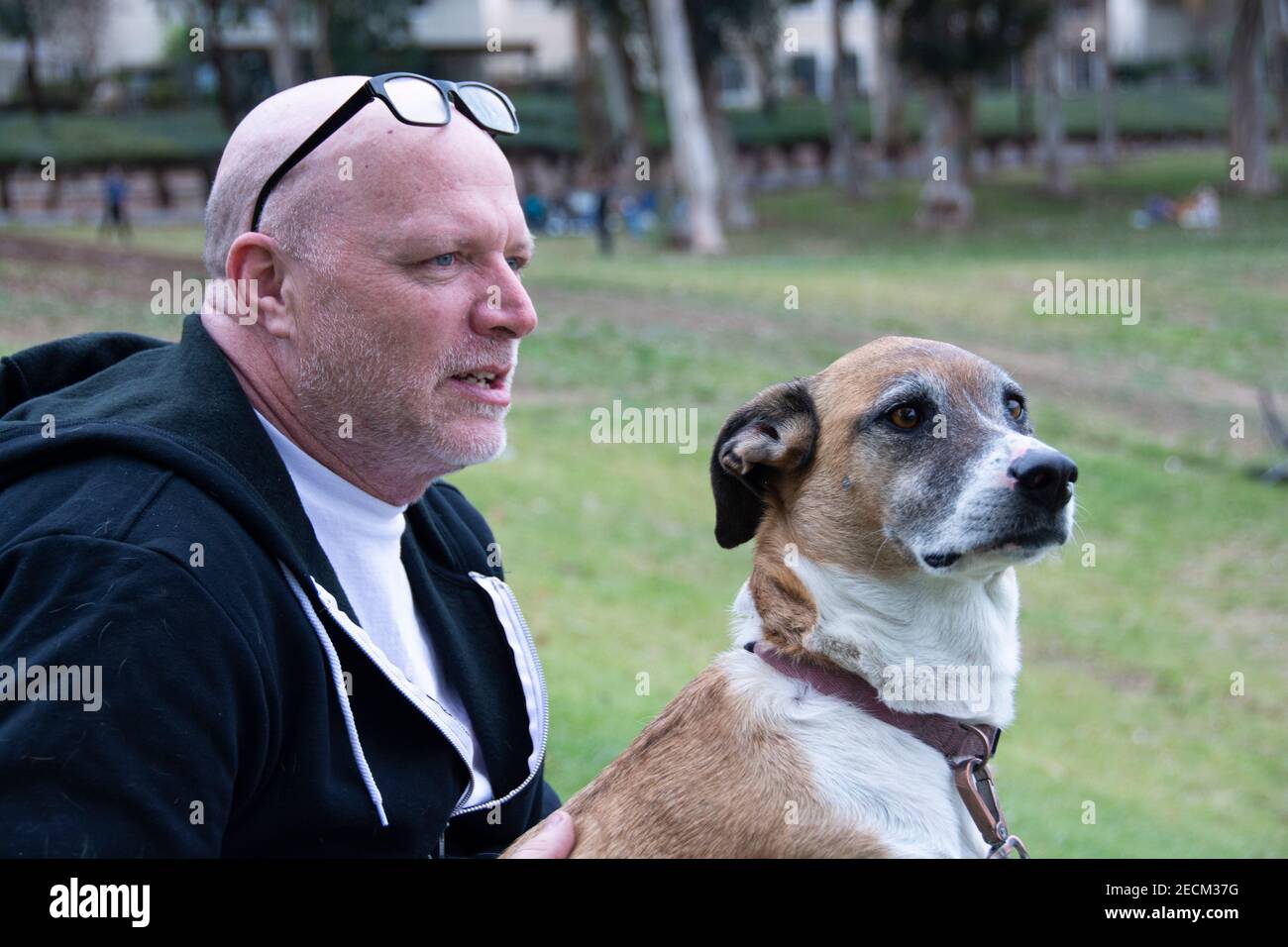 Bald man with a dog hi-res stock photography and images - Alamy