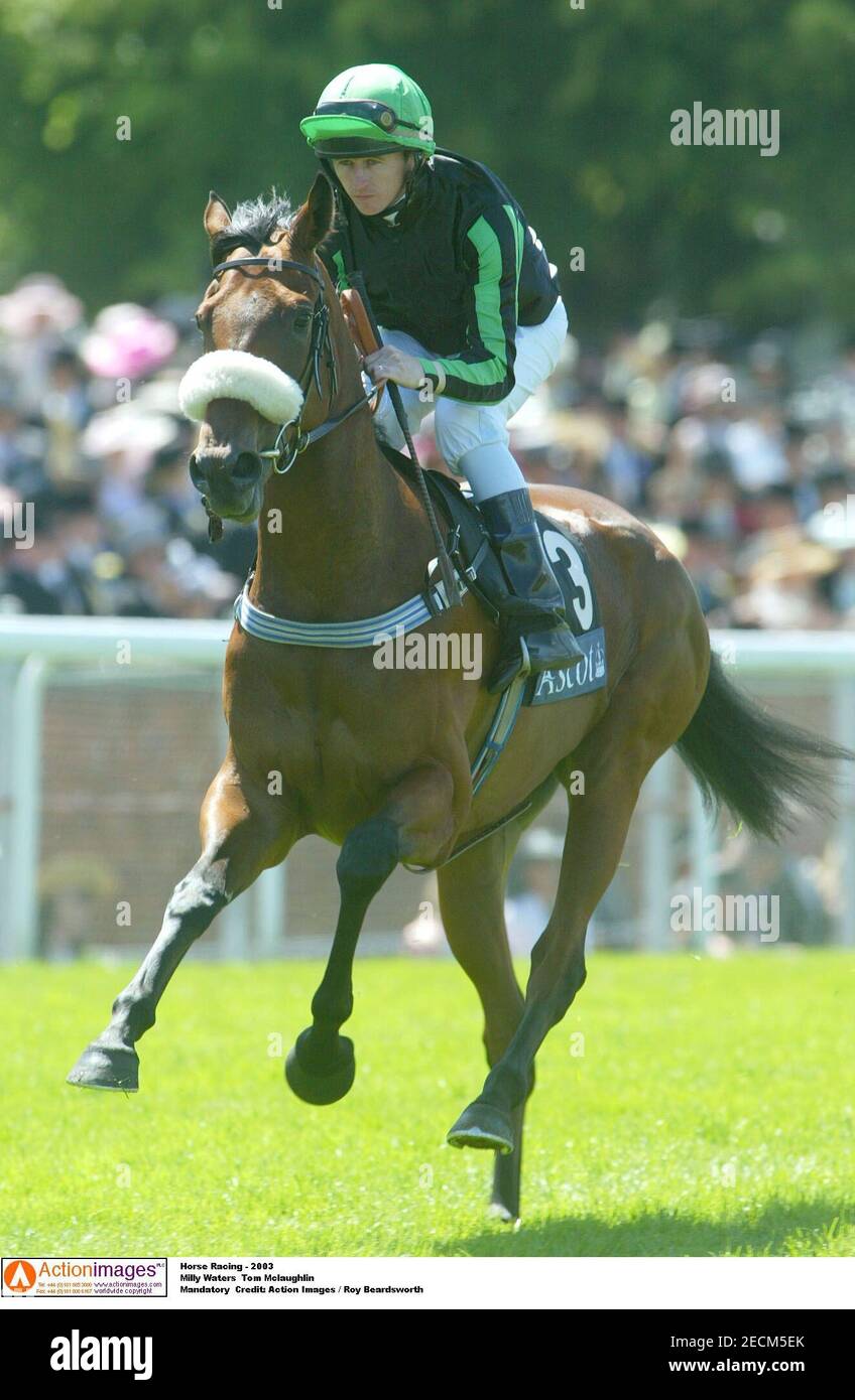 Tom Mclaughlin High Resolution Stock Photography and Images - Alamy