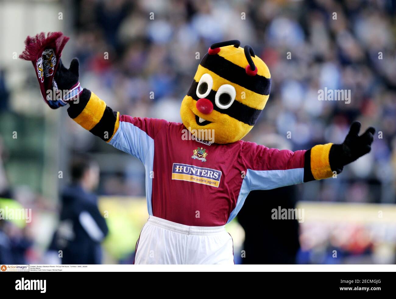 The blackburn rovers mascot hi-res stock photography and images - Alamy
