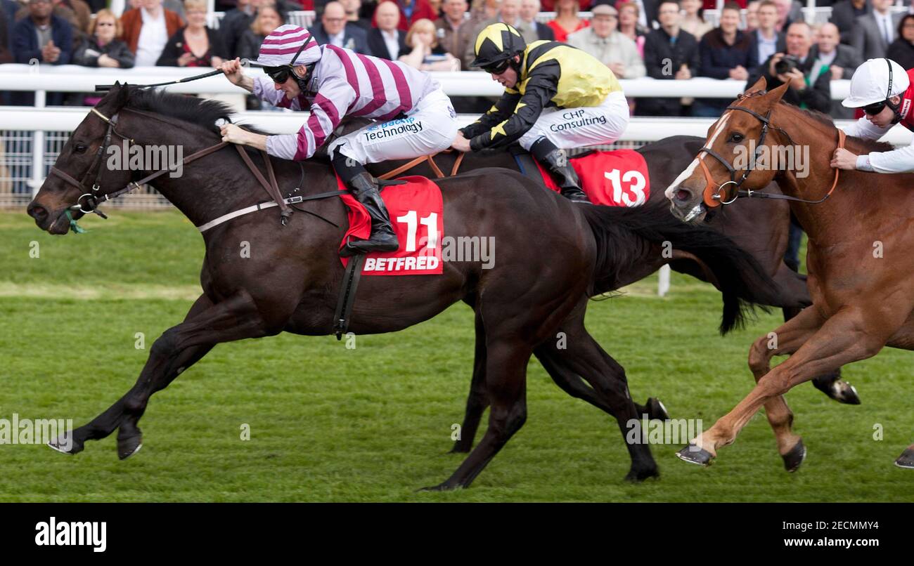Ancient horse racing hi-res stock photography and images - Alamy
