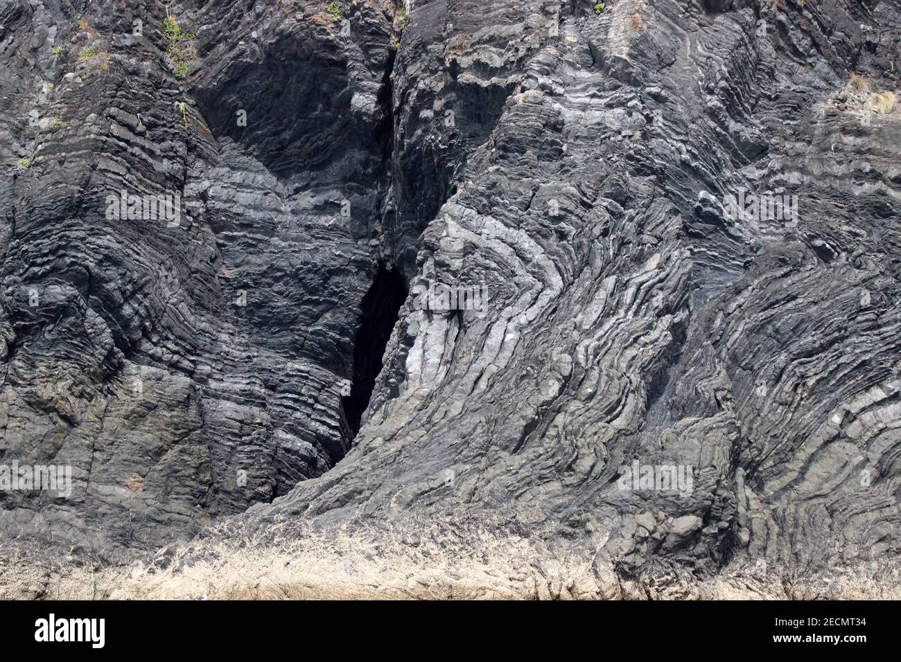 Phyllonite hi-res stock photography and images - Alamy