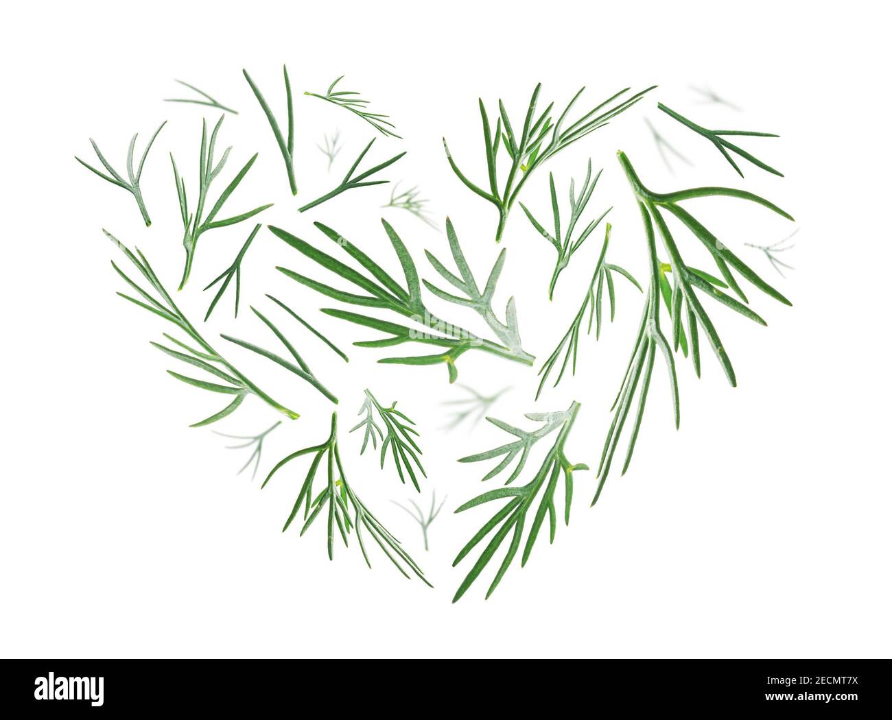 Green sprigs of dill in the shape of a heart on a white background ...