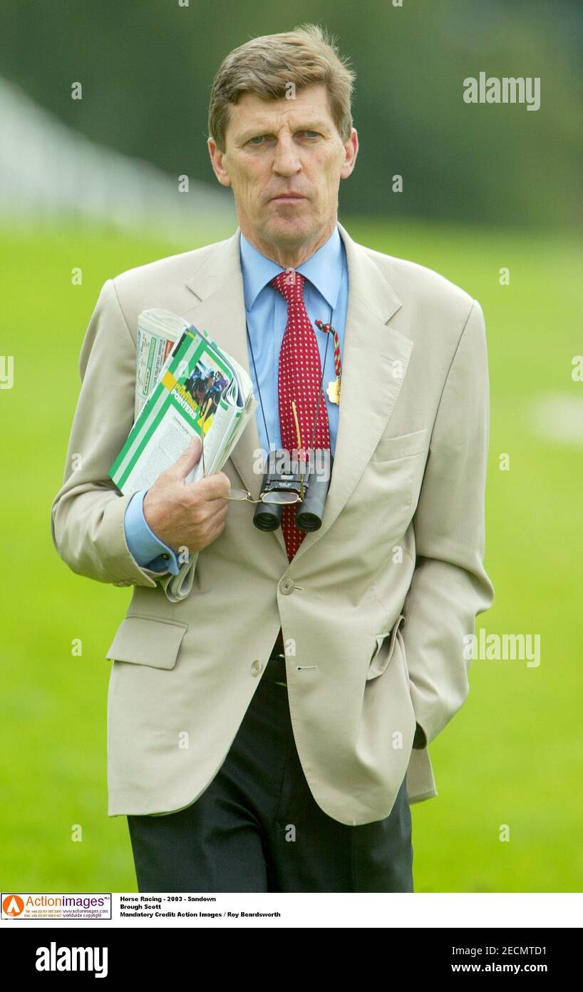 Brough scott horse hi-res stock photography and images - Alamy