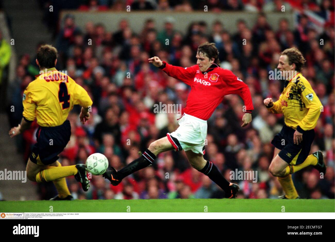 Colin cooper forest hi-res stock photography and images - Alamy