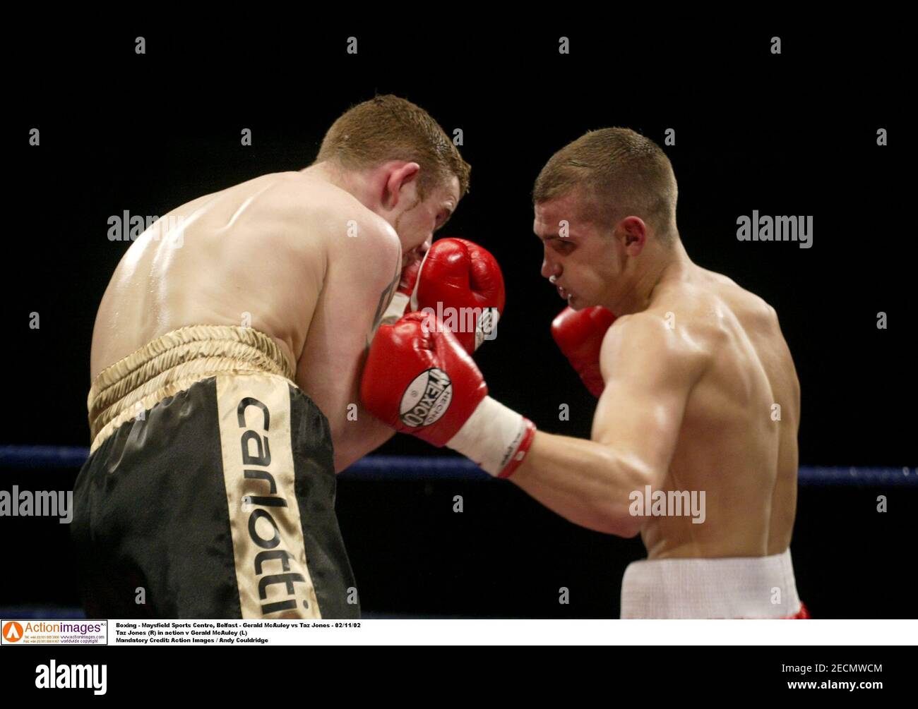 Taz jones hi-res stock photography and images - Alamy