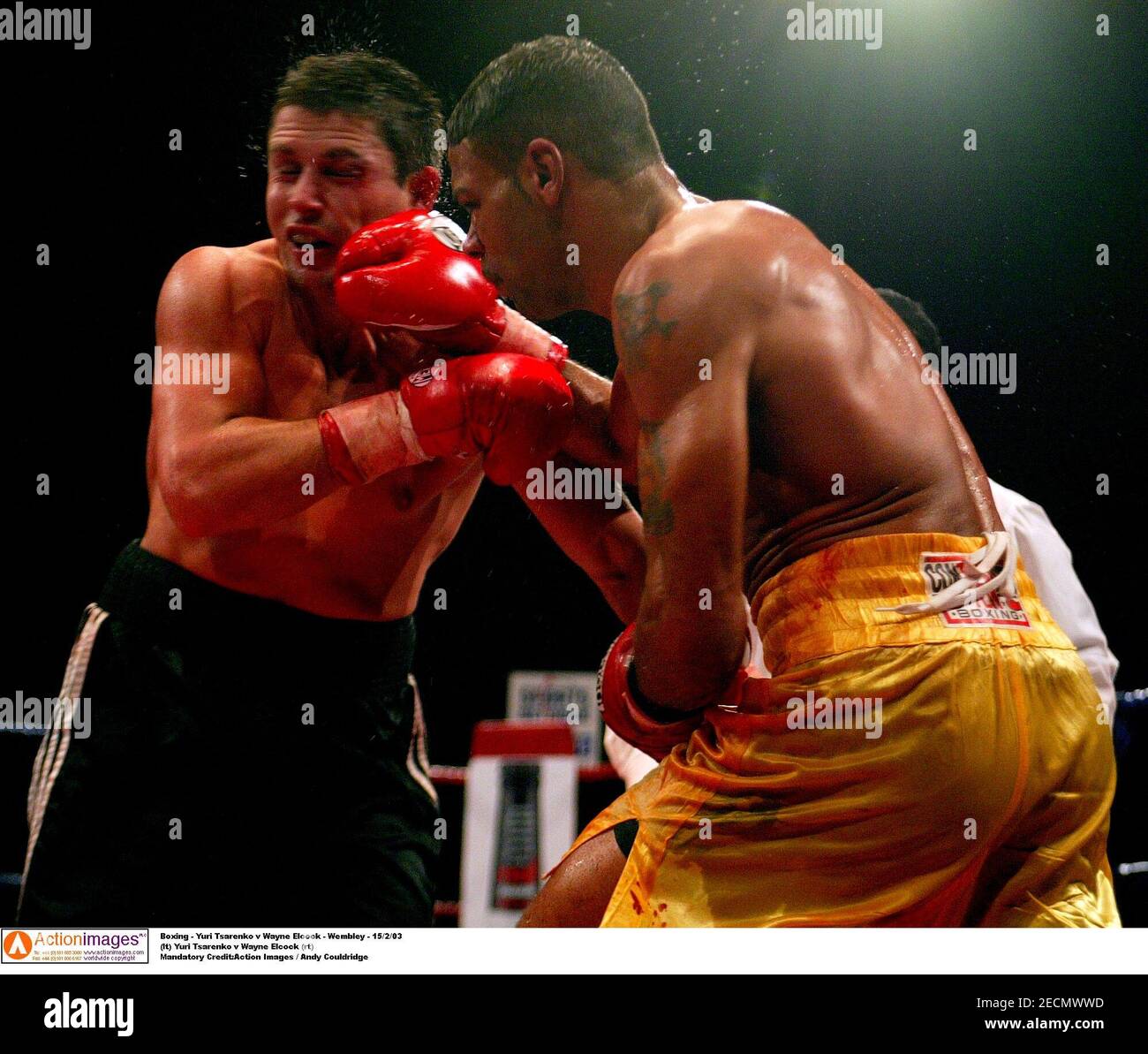 Tsarenko hi-res stock photography and images - Alamy