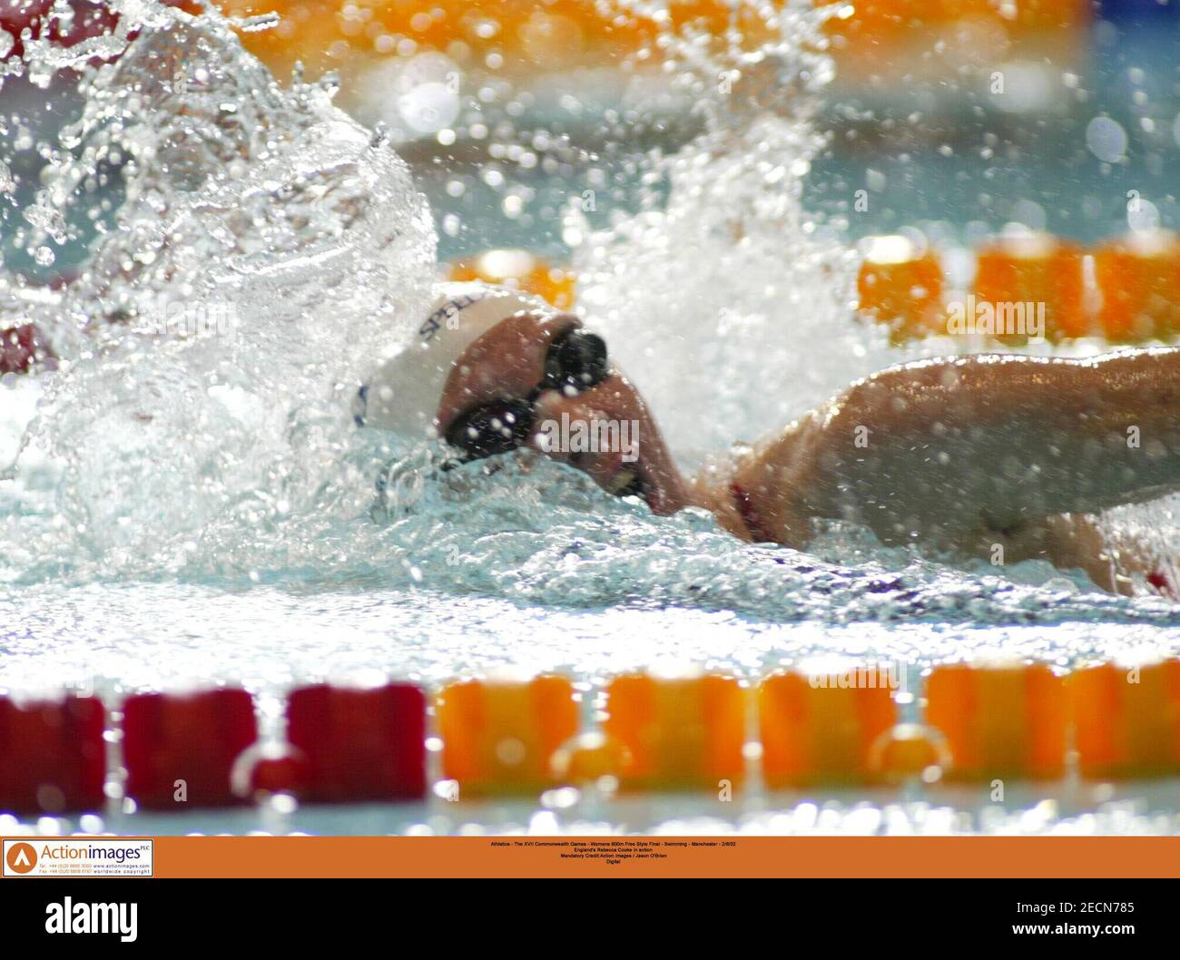 Rebecca Cooke High Resolution Stock Photography and Images - Alamy