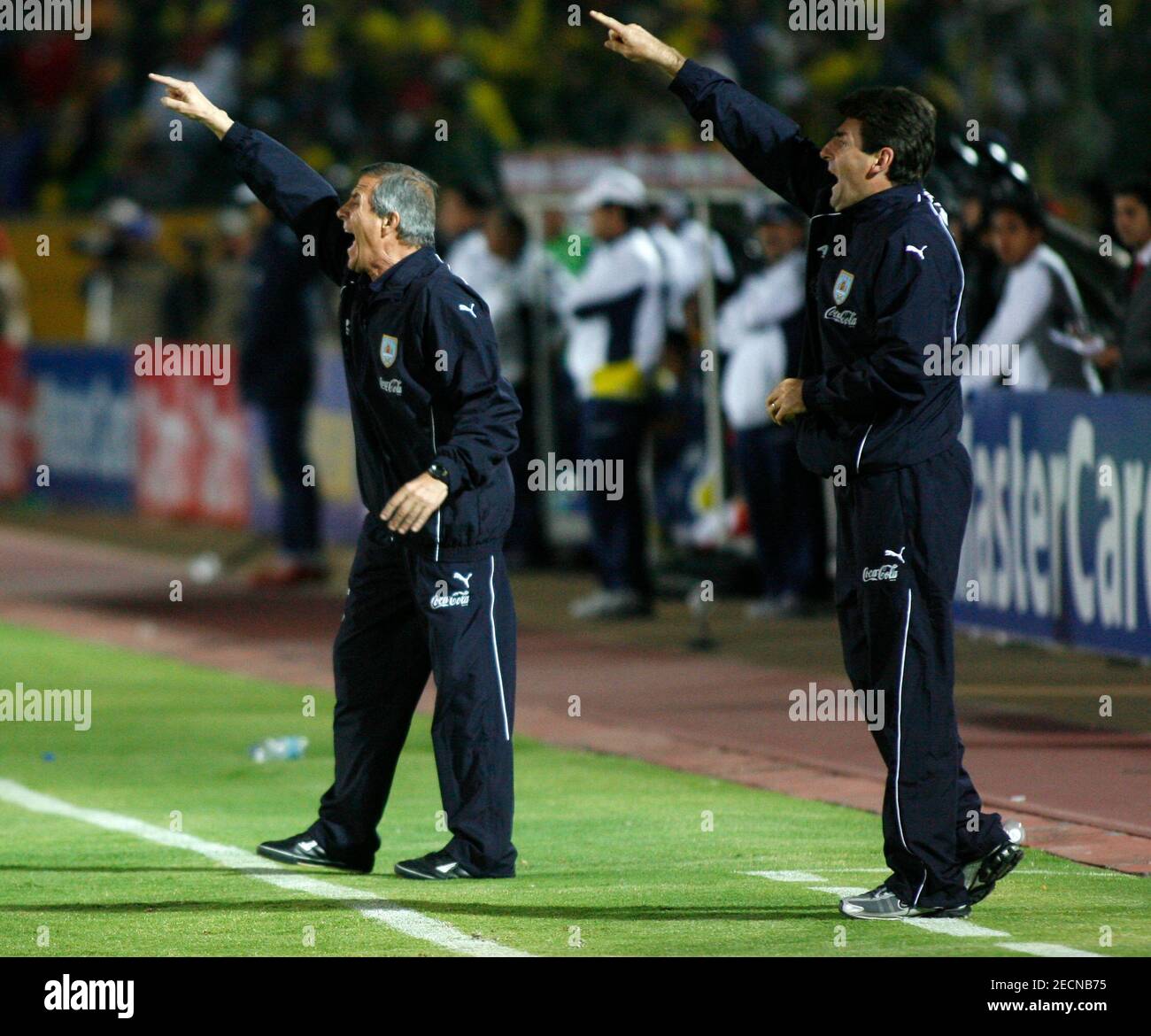 Estadio olimpico atahualpa ecuador hi-res stock photography and images ...