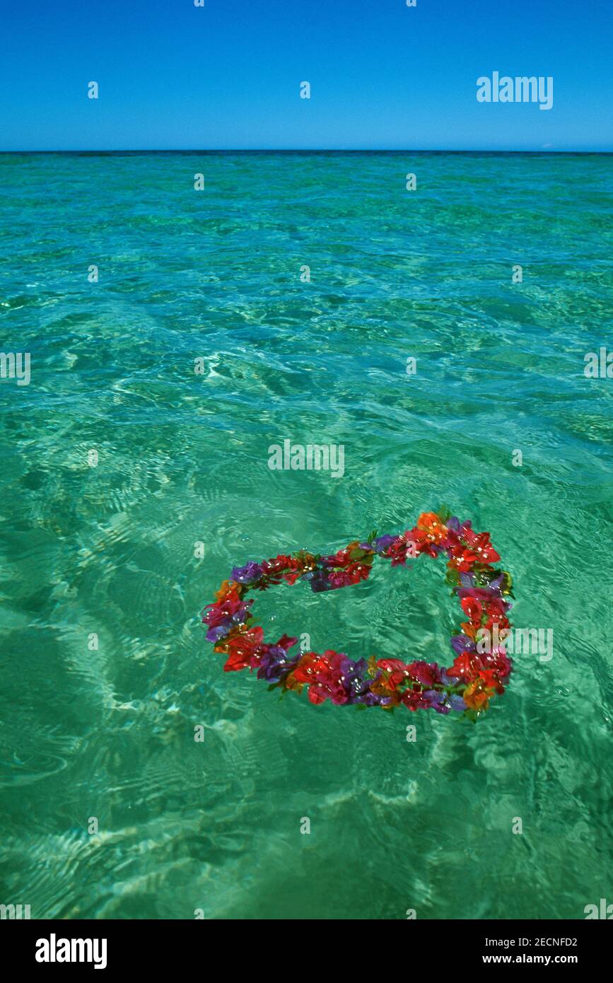 Maui heart hi-res stock photography and images - Alamy