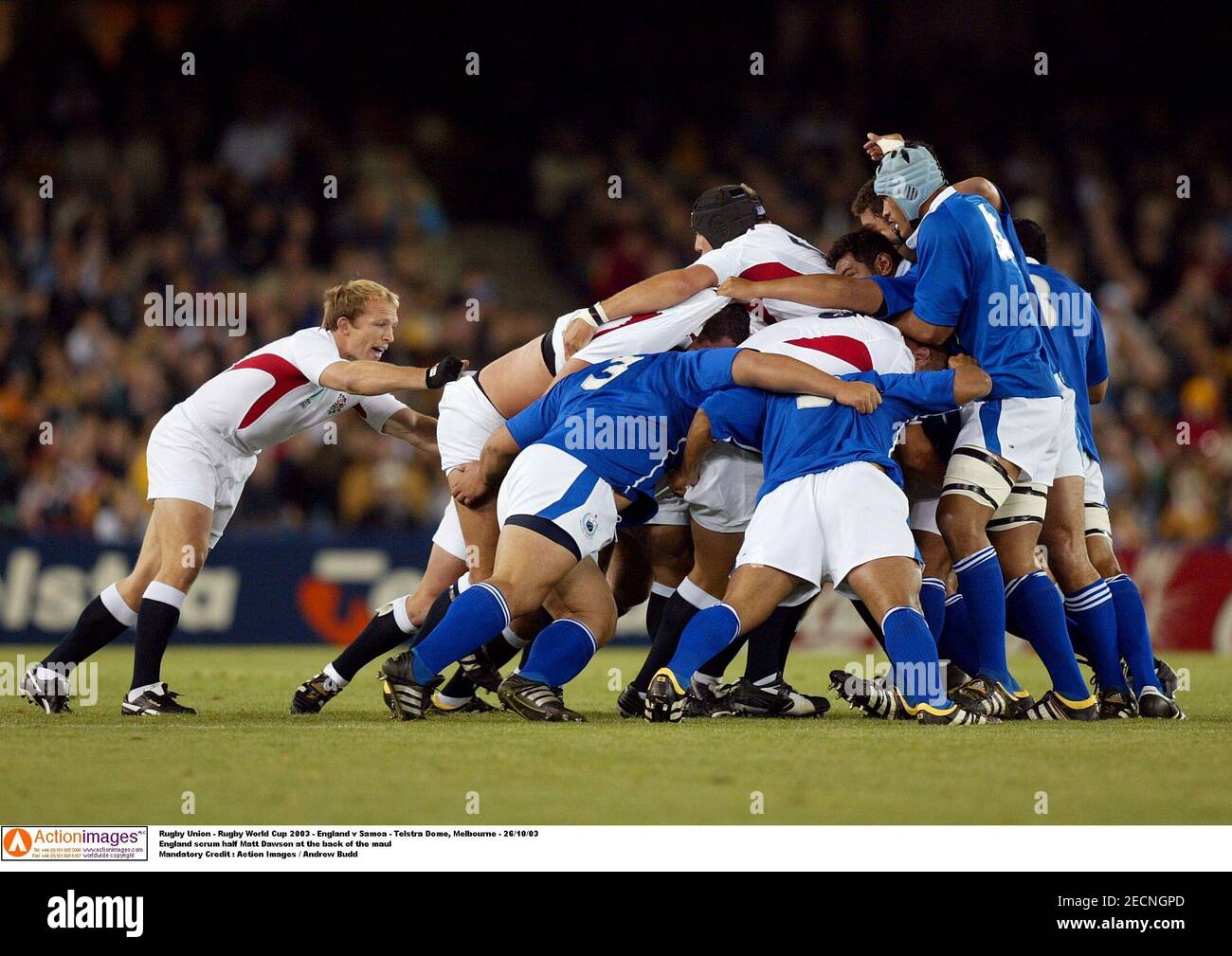England scrum half hi-res stock photography and images - Alamy