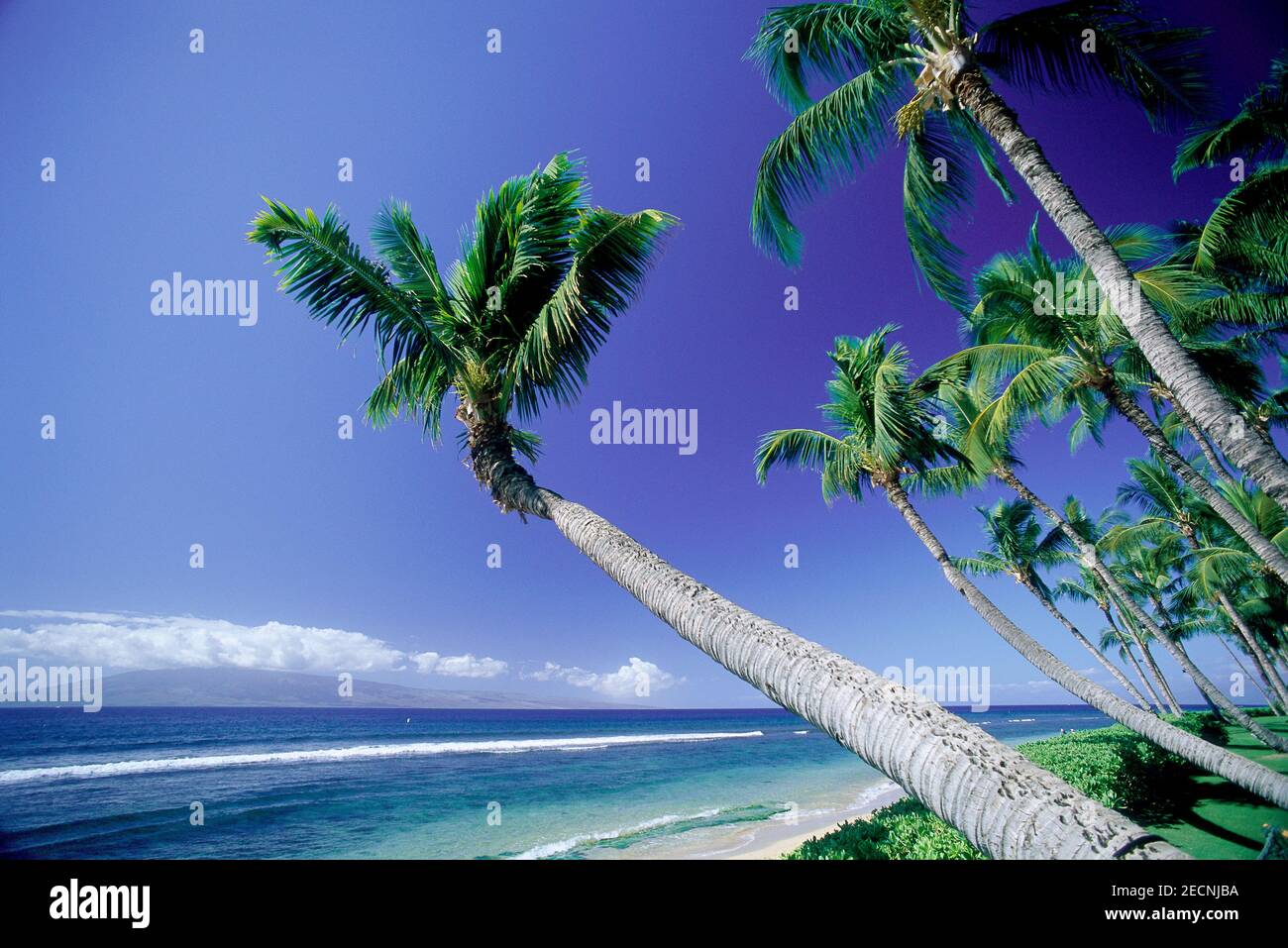 Hanakoo beach hi-res stock photography and images - Alamy