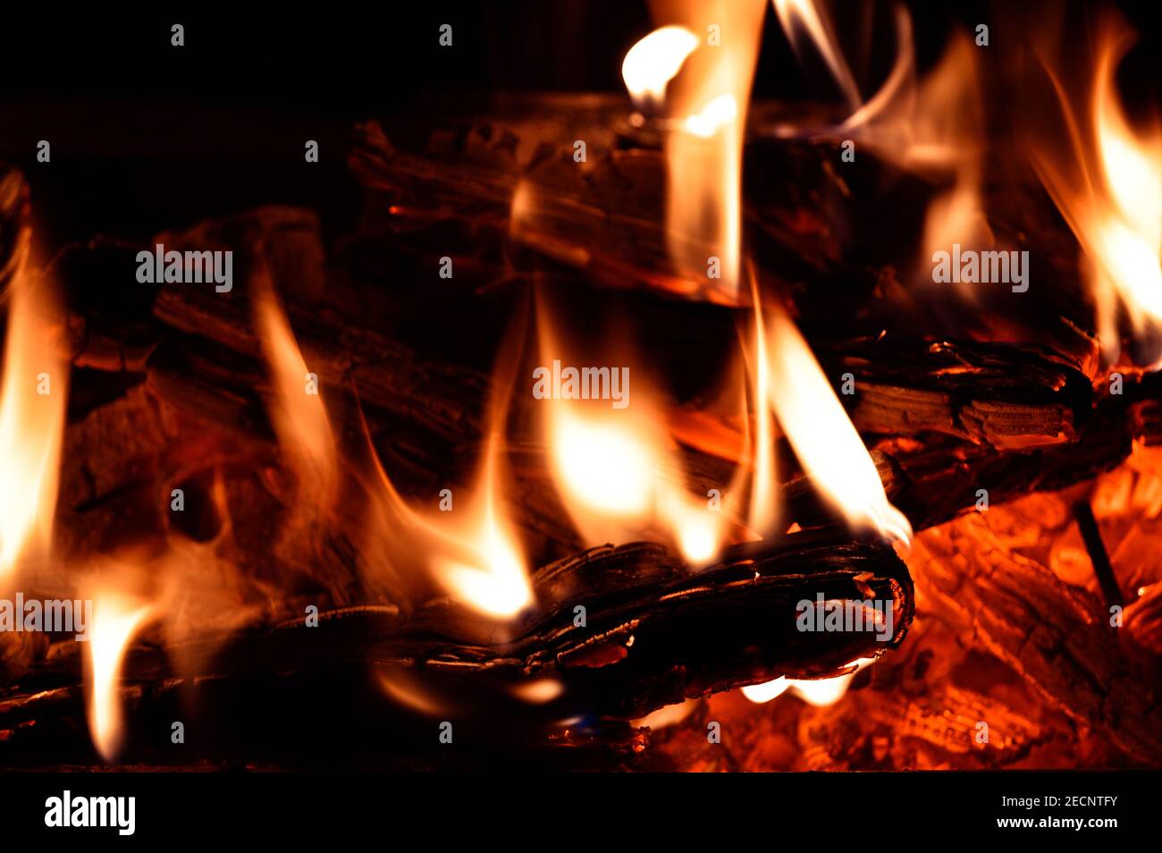Hot coals and flames in burning campfire, wood burning Stock Photo - Alamy