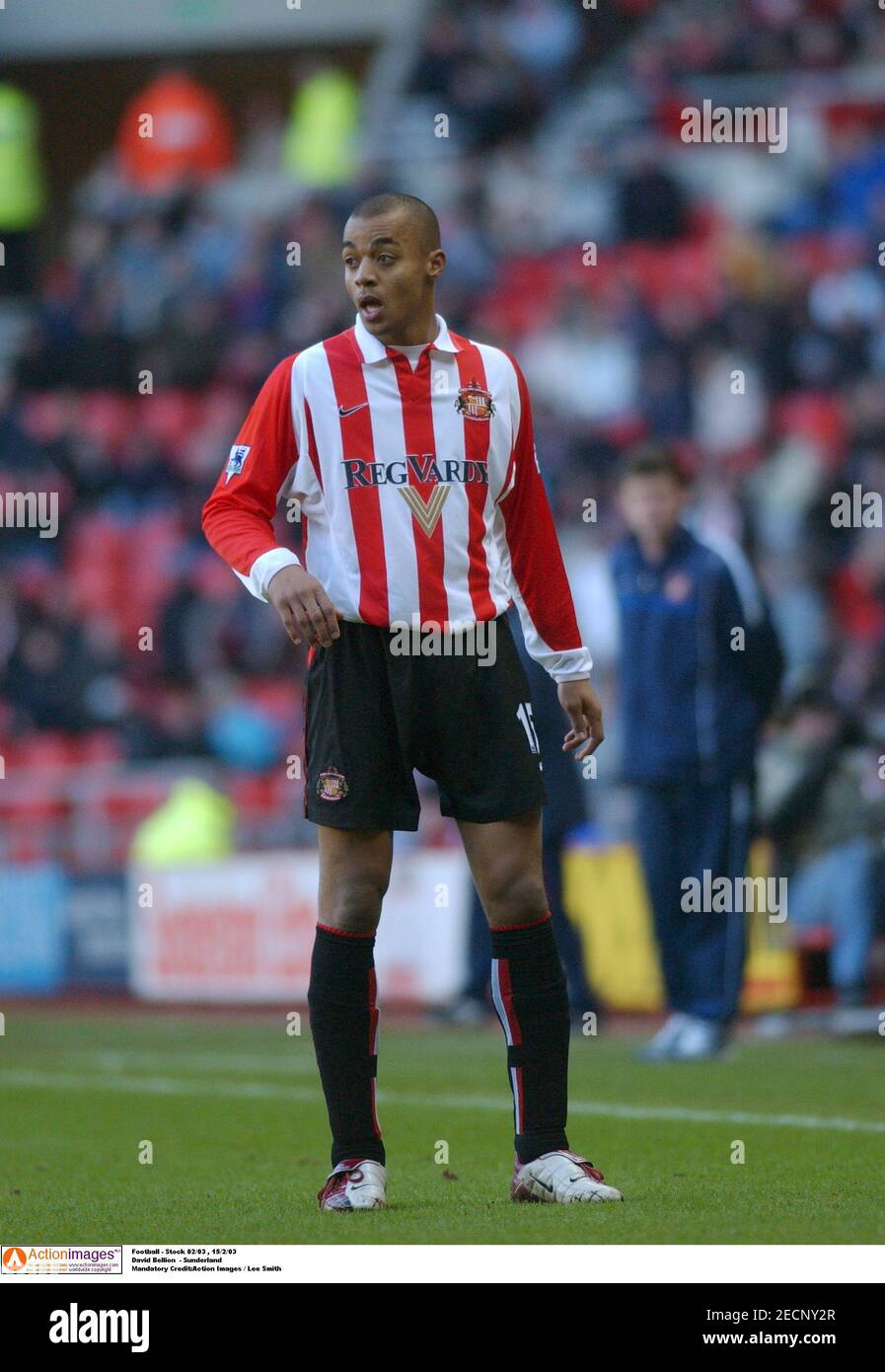 David Bellion High Resolution Stock Photography and Images - Alamy