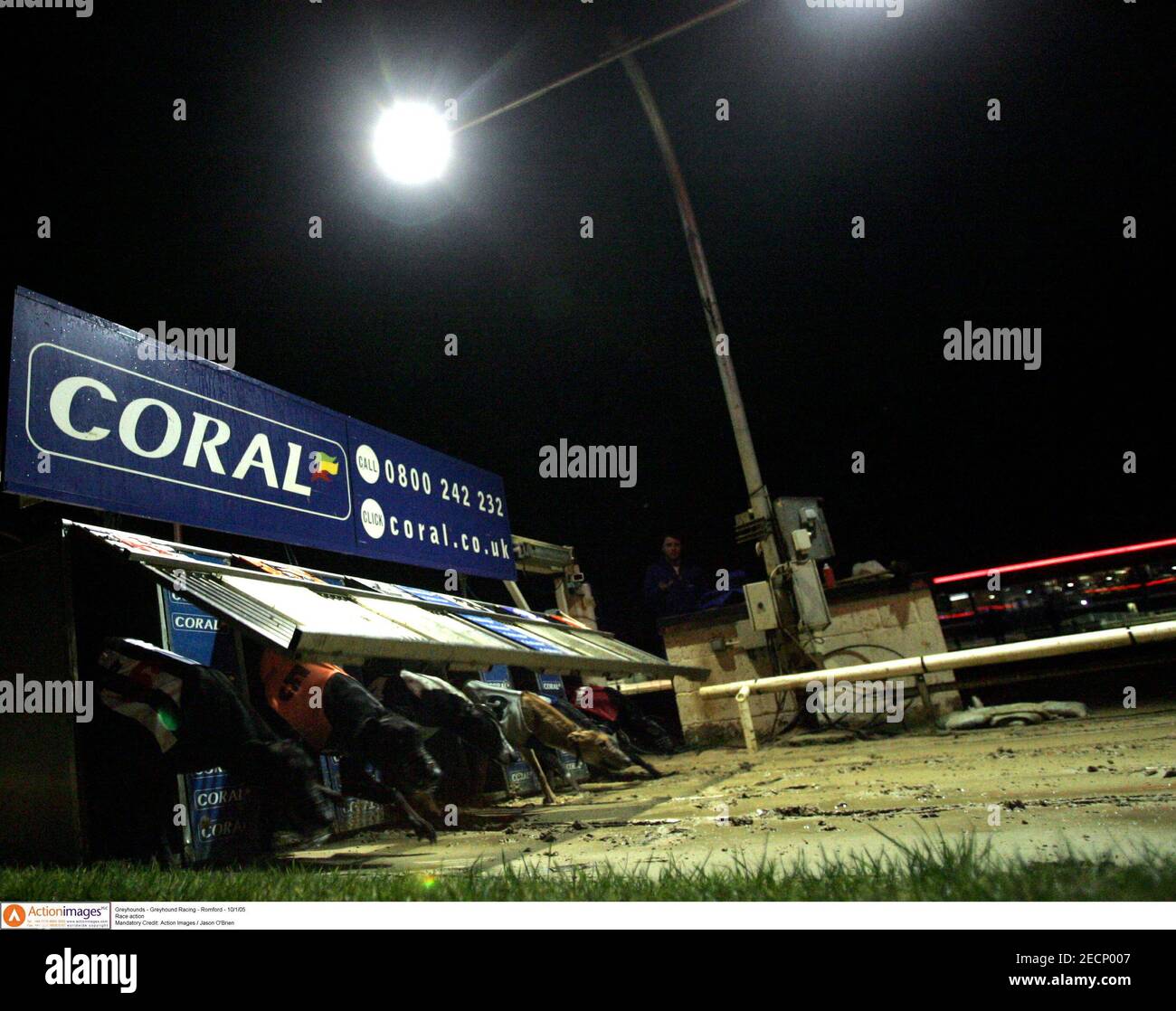 Romford Greyhound High Resolution Stock Photography and Images - Alamy