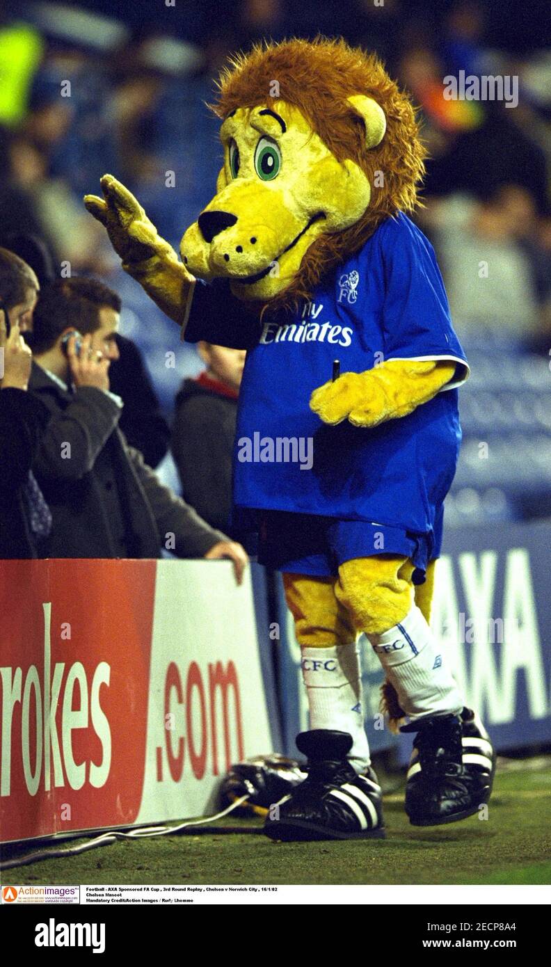 Norwich city mascot hi-res stock photography and images - Alamy