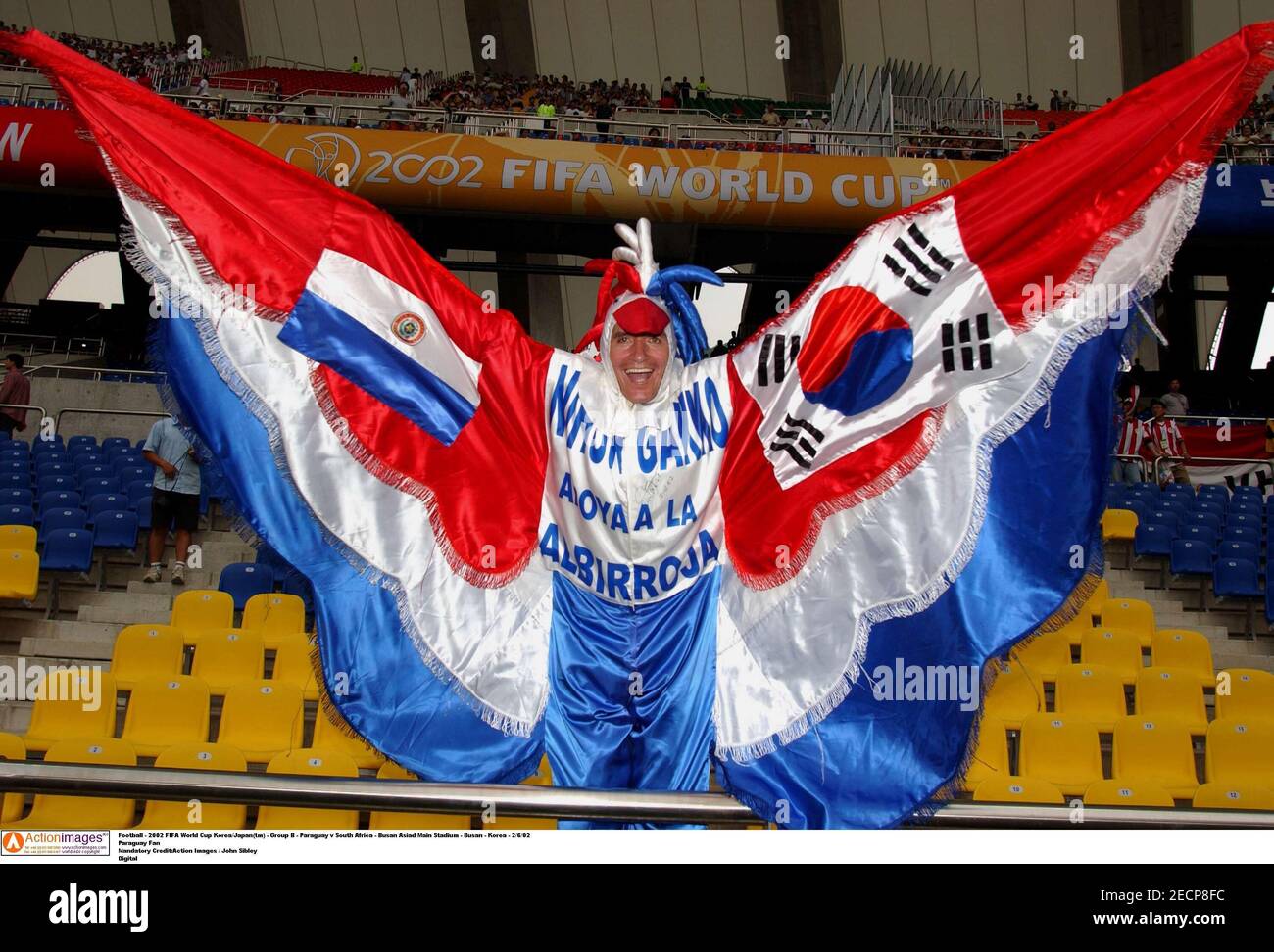 Soccer world cup 2002 group b paraguay v south africa High Resolution ...