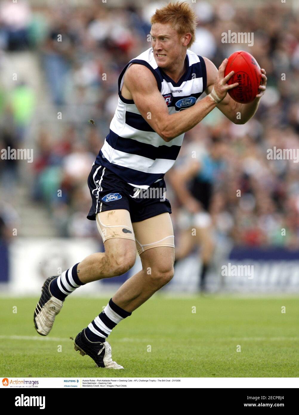 Batchelor australia nick hi-res stock photography and images - Alamy