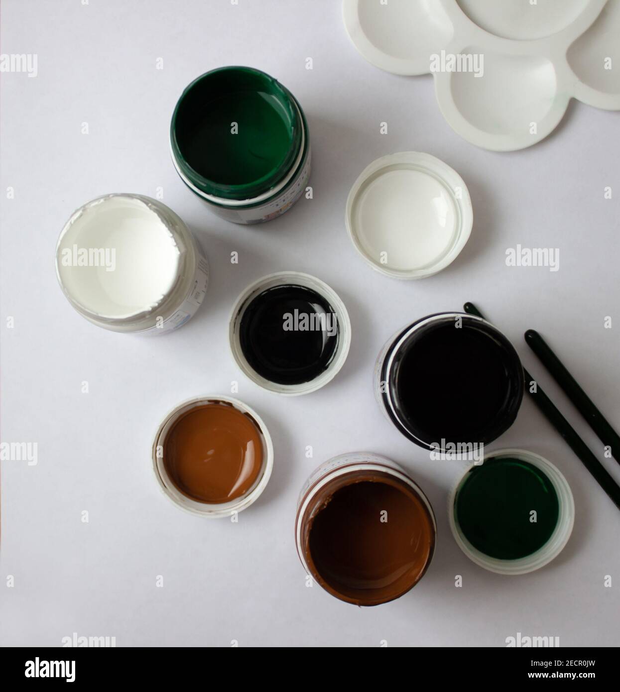 Open bottles with colored acrylic paints on white background Stock ...